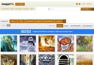 Our Favorite Sources for Free Royalty-Free Images