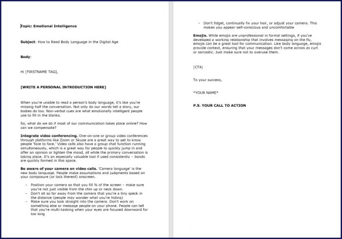 Emotional Intelligence Email Swipes | Done-for-You Emails (PLR)