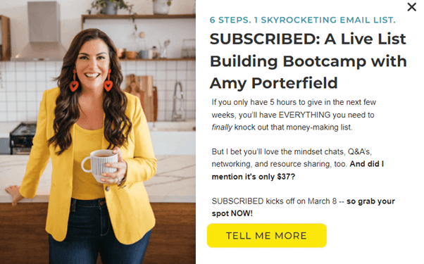How to Pre-Sell a Course | Use PLR Course to Make it Easy
